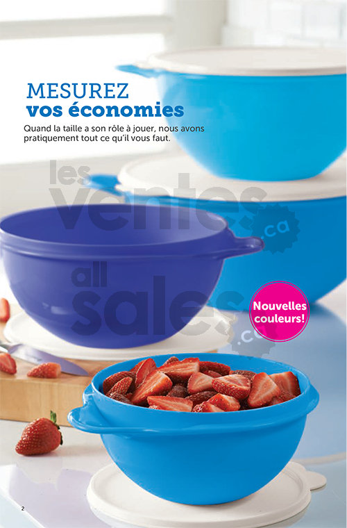 Tupperware - Bols Grand-mère 2 pour 1 | lesventes.ca
